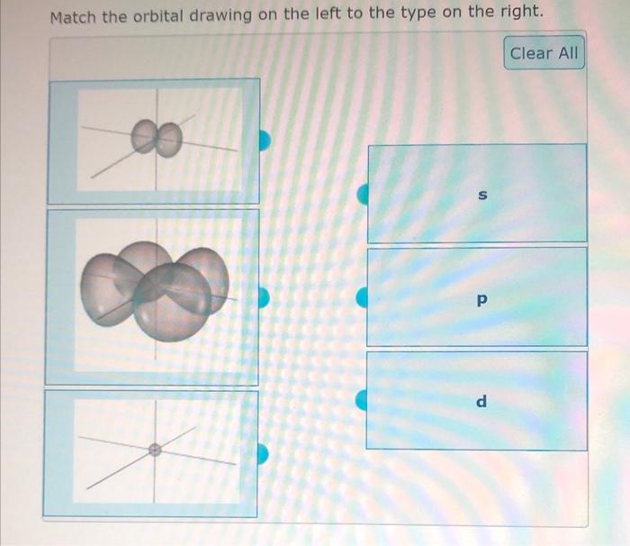 Solved Match the orbital drawing on the left to the type on | Chegg.com