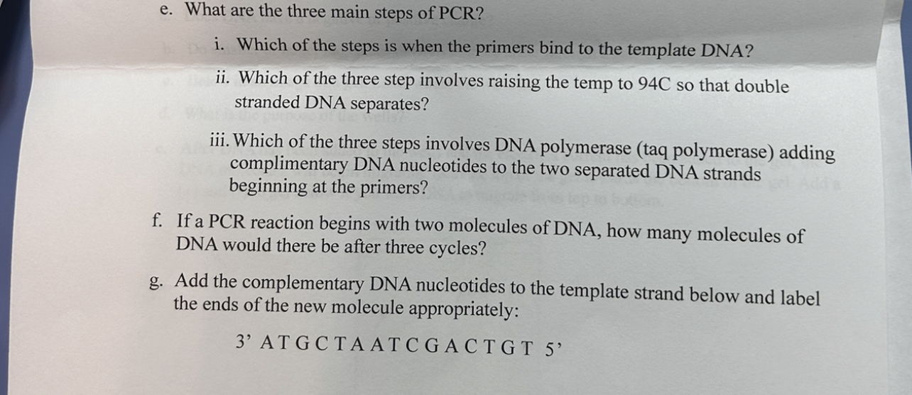 Solved e. ﻿What are the three main steps of PCR?i. ﻿Which of | Chegg.com