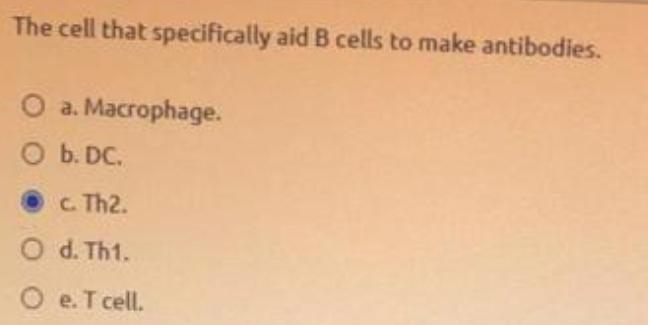 Solved The cell that specifically aid B cells to make | Chegg.com