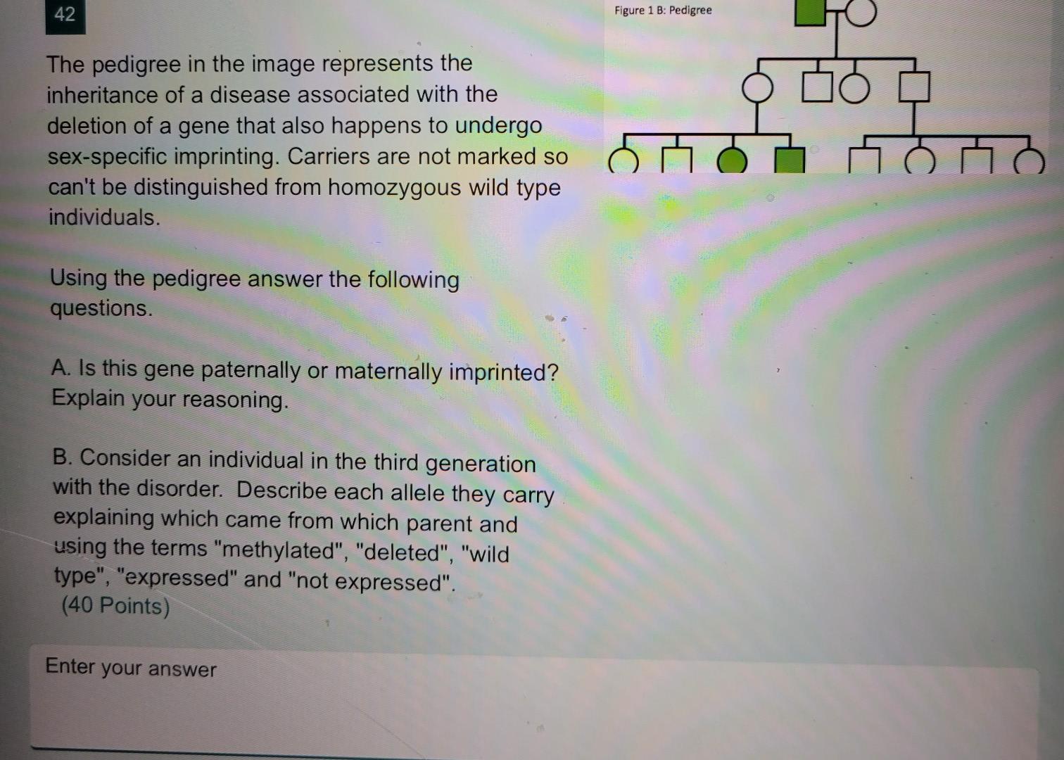 Solved The pedigree in the image represents the inheritance | Chegg.com