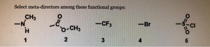 Solved Select meta-directors among these functional groups: | Chegg.com