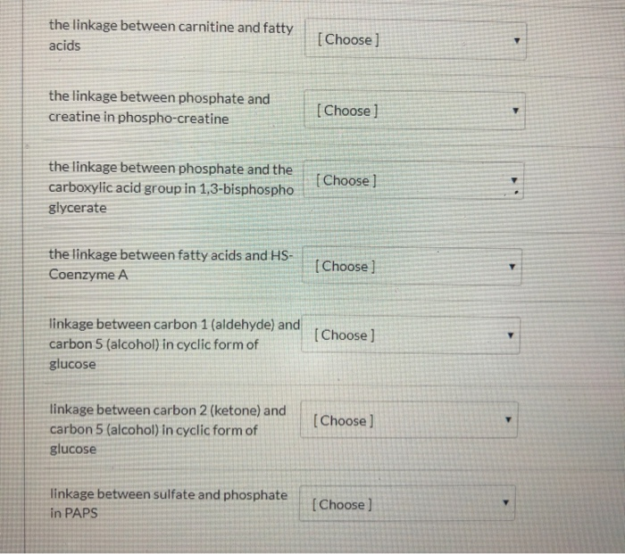 Solved Identify The Composite Functional Group Linkages In 1628