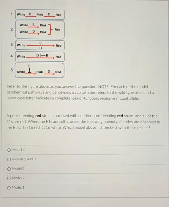 Solved 2 3 4 5 Refer to the figure above as you answer the | Chegg.com