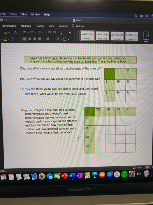 Solved ormat Tools Table Window Help C-4.1 References | Chegg.com