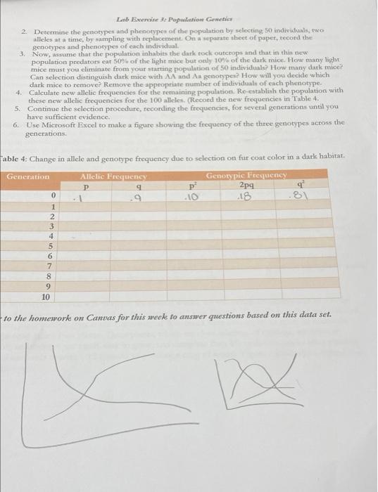Solved Lab Exercise 3: Population Genetics 2. Determine the | Chegg.com