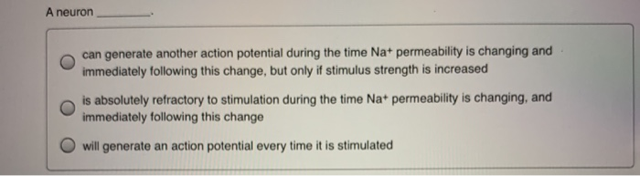 Solved A neuron can generate another action potential during | Chegg.com