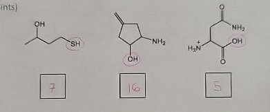 Solved circle the most acidic functional group on each | Chegg.com
