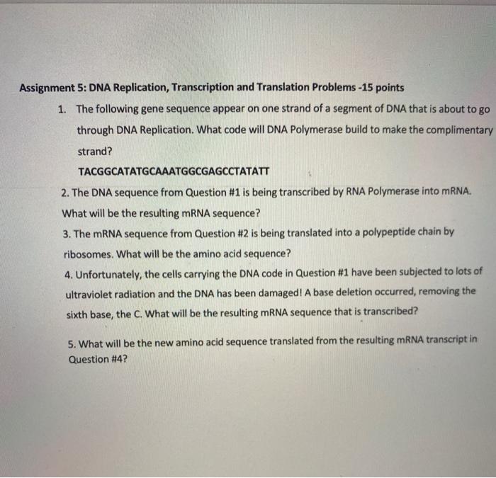 Solved Assignment 5: DNA Replication, Transcription and | Chegg.com