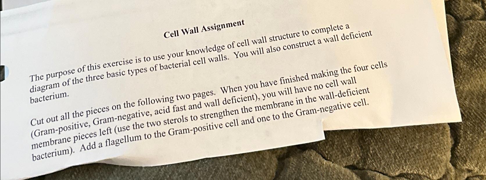 Solved Cell Wall AssignmentThe purpose of this exercise is | Chegg.com