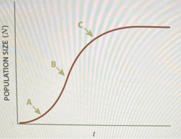 Solved Examine the graph of logistic growth below, showing | Chegg.com
