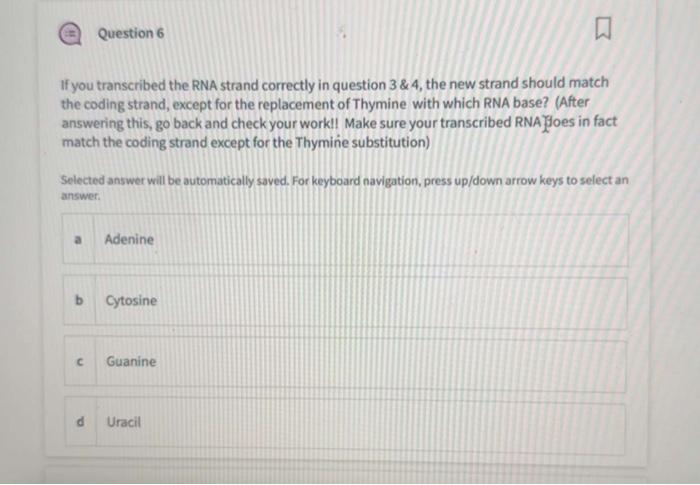 Solved If you transcribed the RNA strand correctly in | Chegg.com