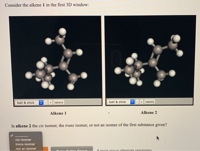 Solved Decide if the 3D model represents a cis | Chegg.com