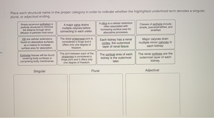 Solved Place each structural name in the proper category in | Chegg.com