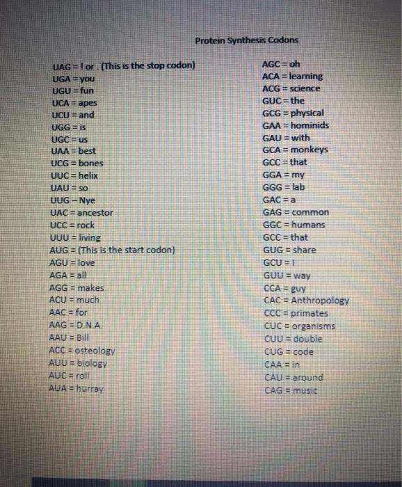 Solved Protein Synthesis Game For this activity you need to | Chegg.com