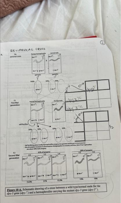 Solved fill in the square | Chegg.com