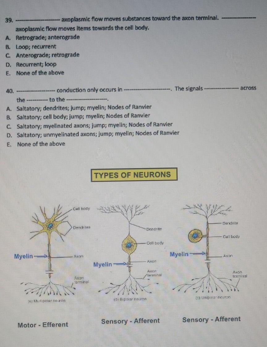 Solved 39. ancoplasmic flow moves substances toward the | Chegg.com