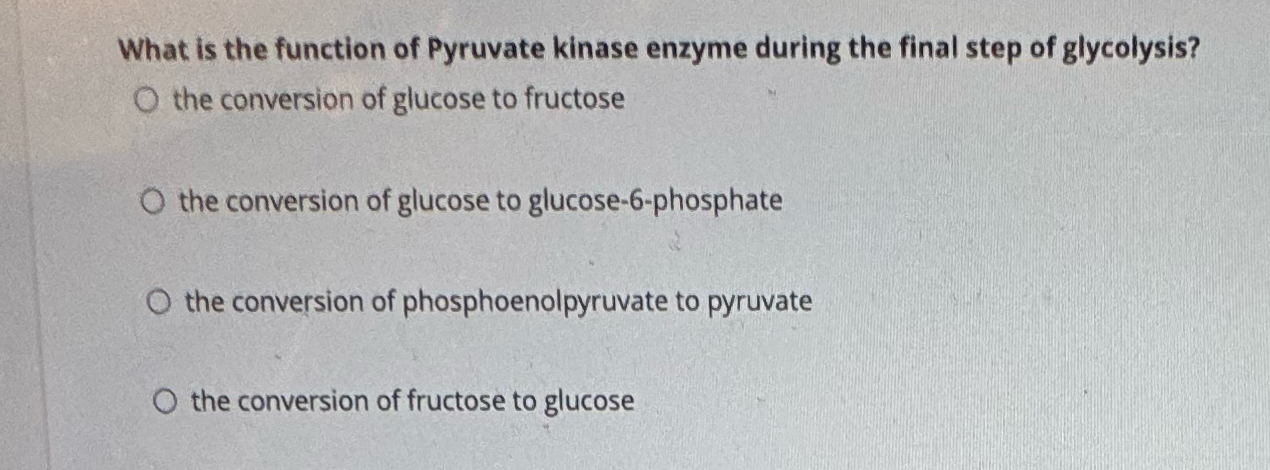 What is the function of Pyruvate kinase enzyme during | Chegg.com