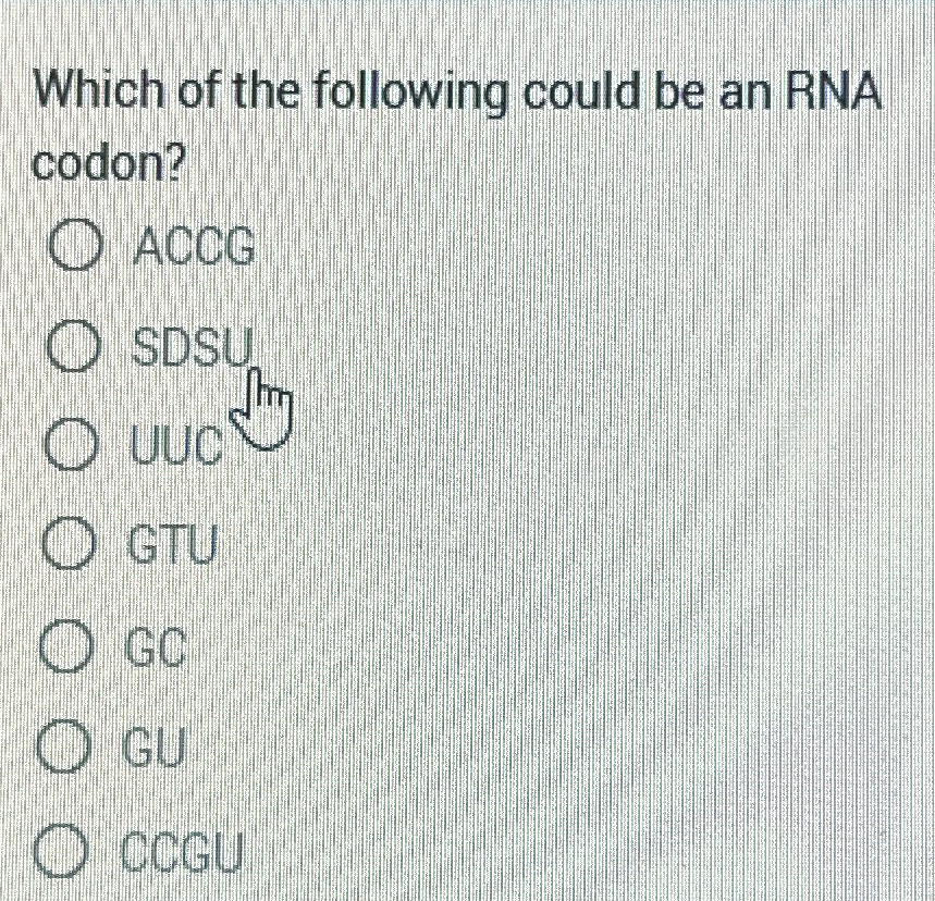 Solved Which of the following could be an RNA | Chegg.com
