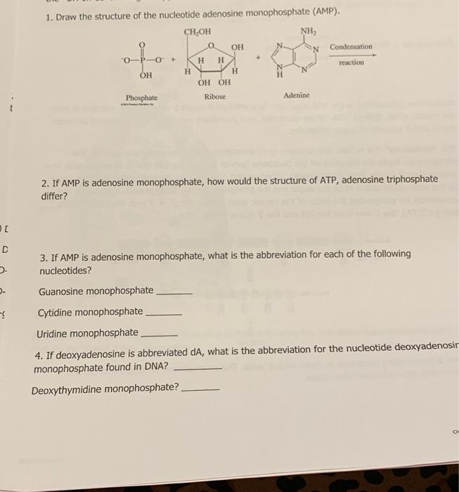 Solved N 1. Draw the structure of the nucleotide adenosine | Chegg.com
