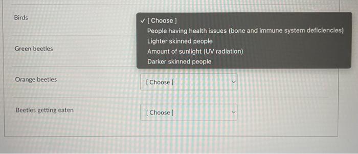 Solved How would a firefly cell make light? To answer, match | Chegg.com