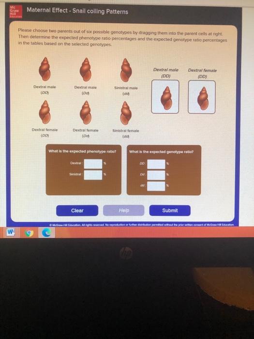 Solved ме Maternal Effect - Snail colling Patterns Please | Chegg.com