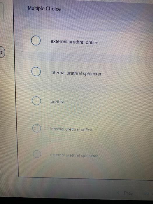 Solved Which structure is highlighted? Multiple Choice | Chegg.com
