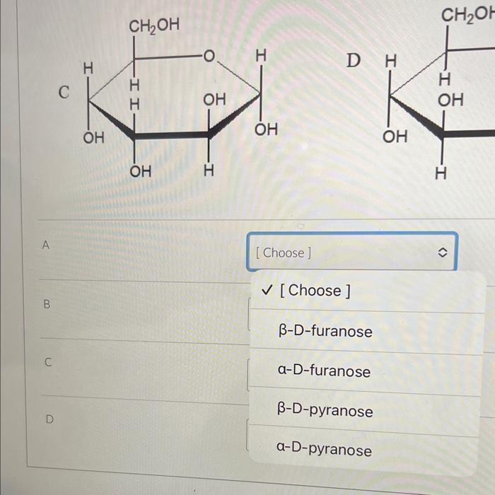 Solved Match the following cyclic monosaccharides with their | Chegg.com