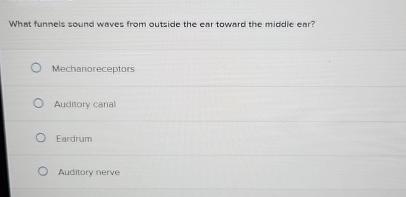 Solved What funnels sound waves from outside the enr toward | Chegg.com