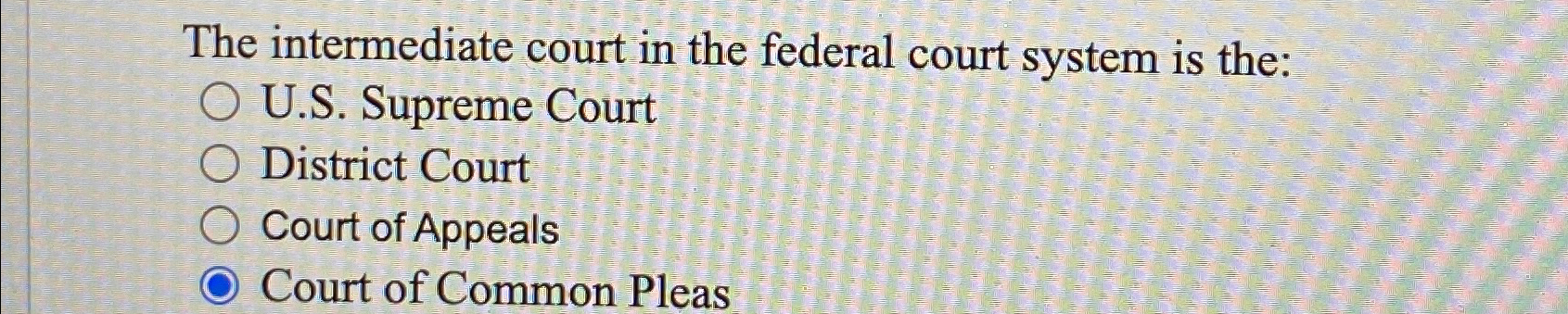 Solved The intermediate court in the federal court system is | Chegg.com