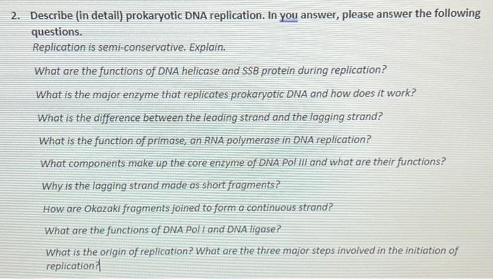 Solved 2. Describe (in detail) prokaryotic DNA replication. | Chegg.com