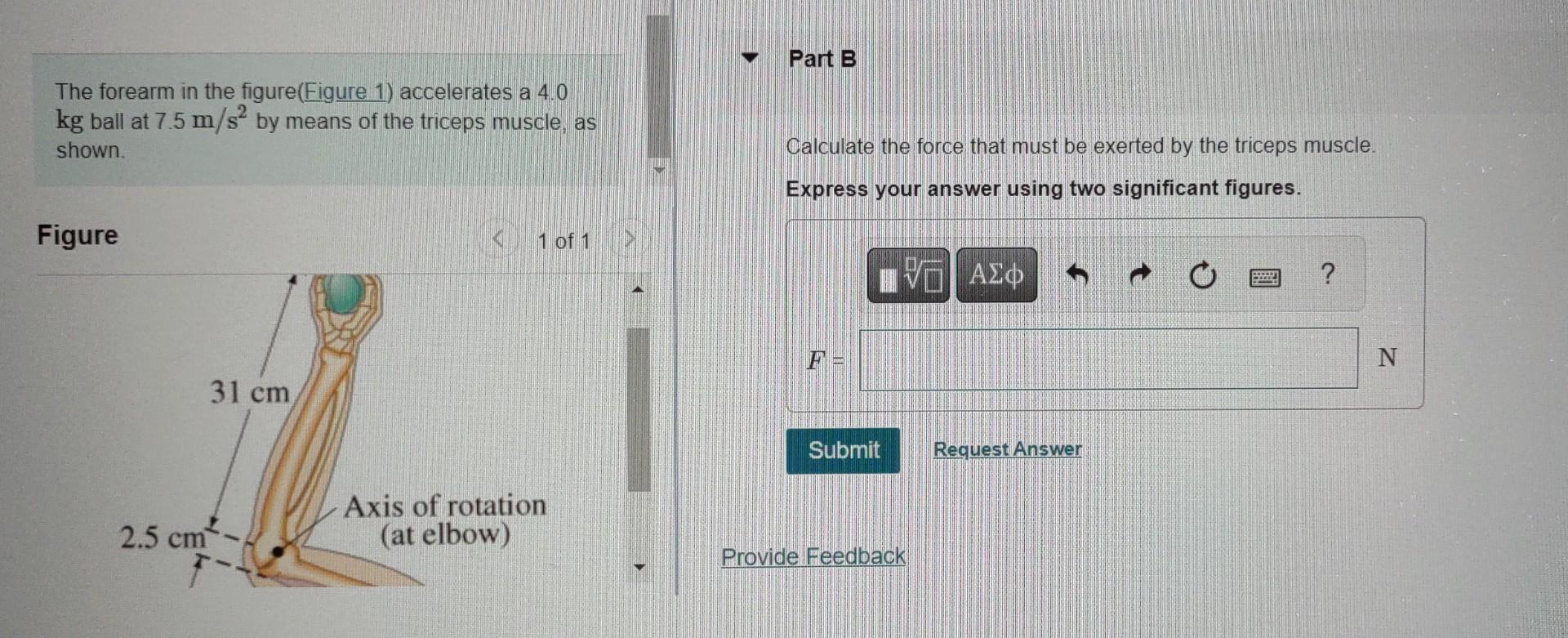 Solved The forearm in the figure(Figure 1) accelerates a 4.0 | Chegg.com