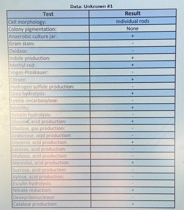 Data: Unknown H1 \begin{tabular}{|l|c|} \hline | Chegg.com