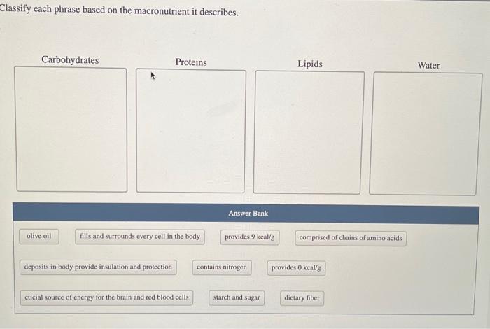 Solved Classify each phrase based on the macronutrient it | Chegg.com