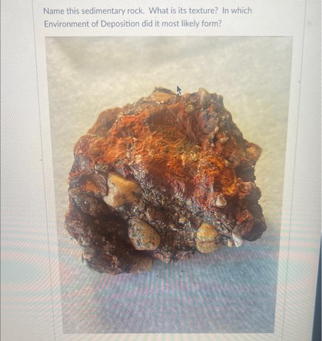 Solved Name this sedimentary rock. What is its texture? In | Chegg.com