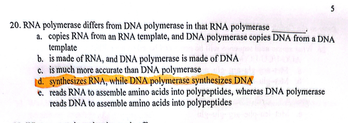 Solved 520. ﻿RNA polymerase differs from DNA polymerase in | Chegg.com
