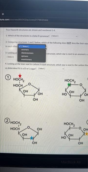 Four Haworth structures are shown and numbered 1-4. | Chegg.com