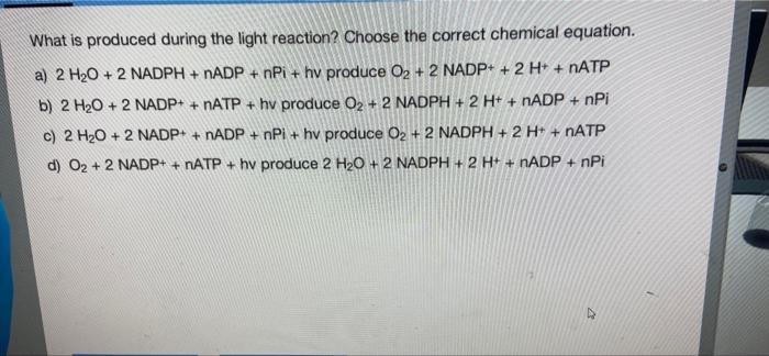 Solved What is produced during the light reaction? Choose | Chegg.com