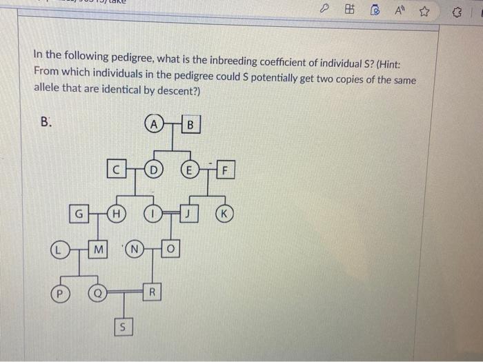 B. In the following pedigree, what is the inbreeding | Chegg.com