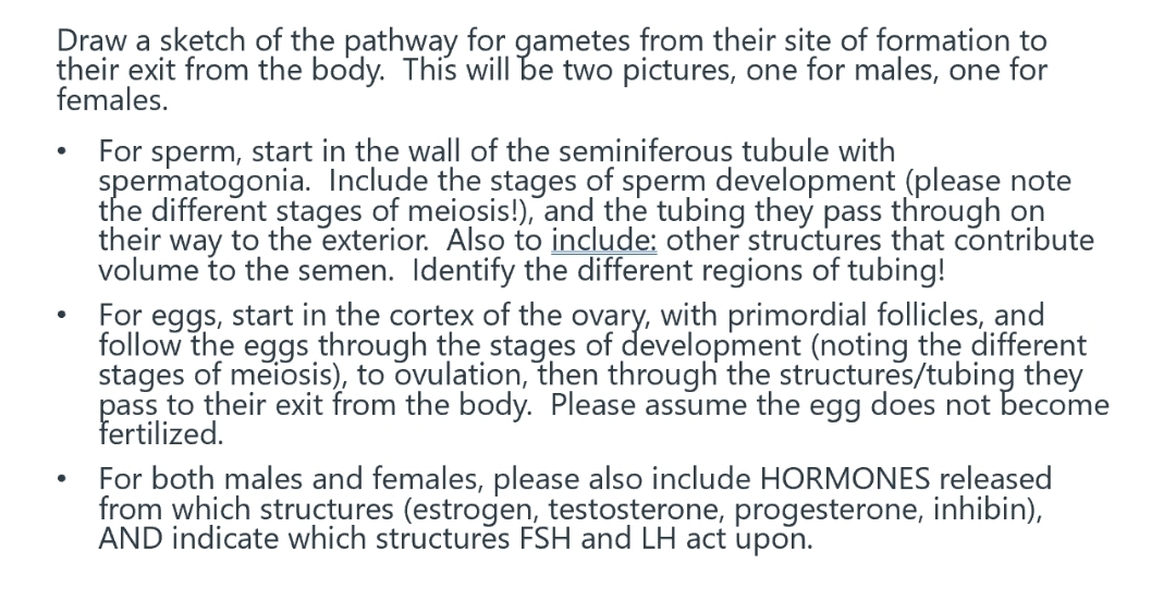 Solved Draw a sketch of the pathway for gametes from their | Chegg.com