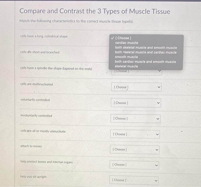 Solved Compare and Contrast the 3 Types of Muscle Tissue | Chegg.com