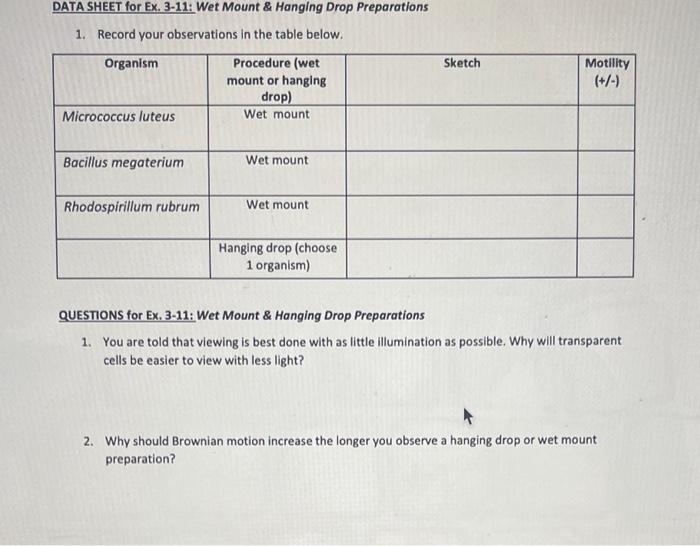 Solved QUESTIONS for Ex. 3-1: Introduction to the Light | Chegg.com