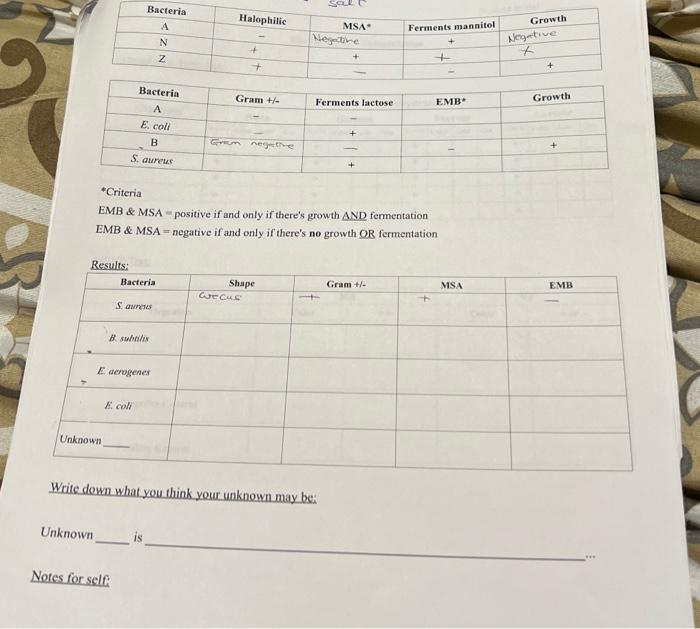 Solved ∗ Criteria EMB&MSA - positive if and only if there's | Chegg.com