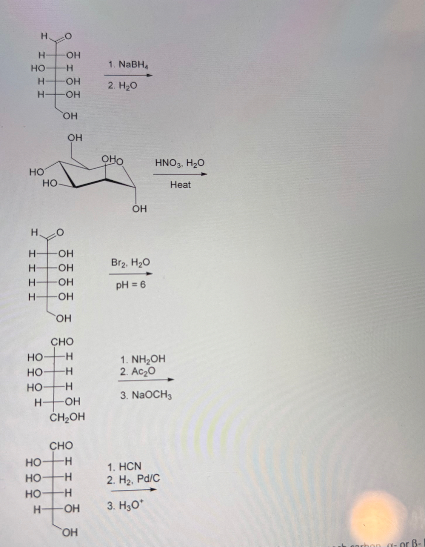 Solved PLEASE draw the product of EVERY | Chegg.com