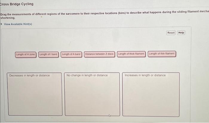 Solved iment meche | Chegg.com