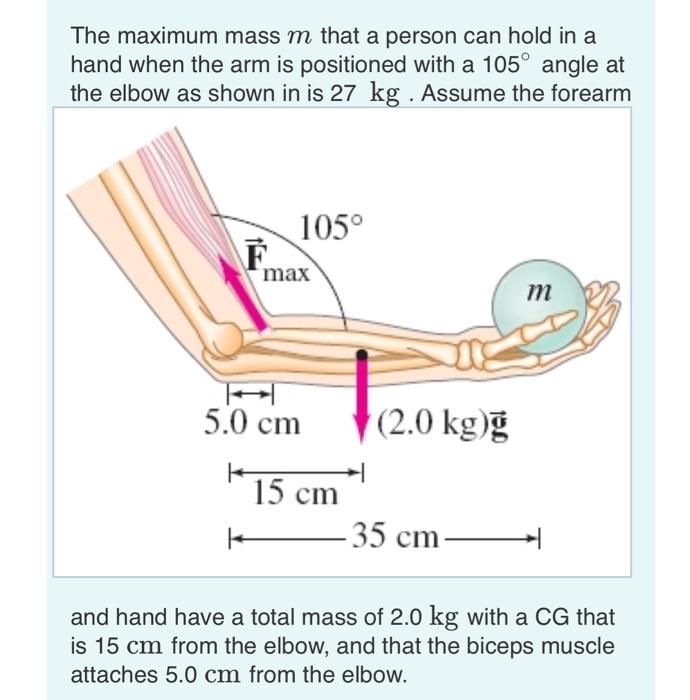 Solved The maximum mass m that a person can hold in a hand | Chegg.com