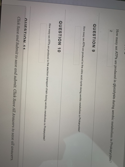 Solved How many net ATPs are produced in glycolysis during | Chegg.com