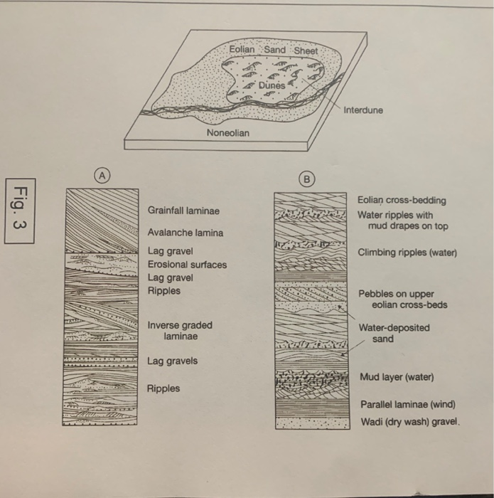 Solved Eolian Sand Sheet . . Dunes Interdune Noneolian Fig. | Chegg.com