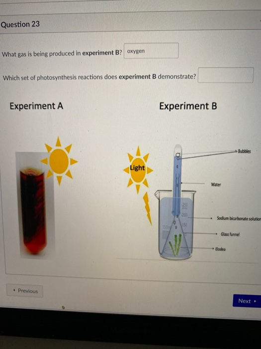 Solved Question 23 What gas is being produced in experiment | Chegg.com