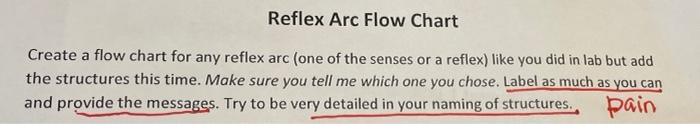 Solved Create a flow chart for any reflex arc (one of the | Chegg.com
