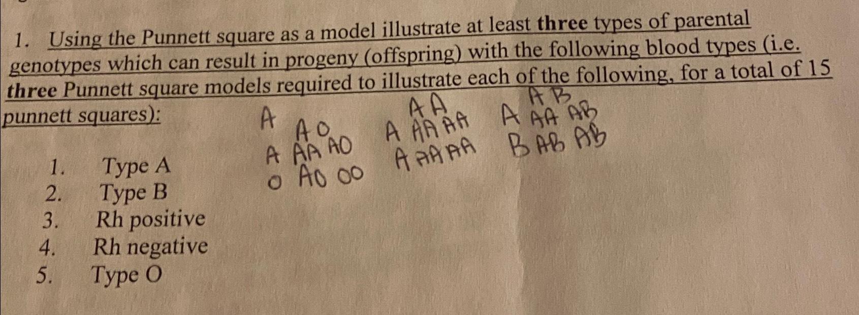 Solved Using the Punnett square as a model illustrate at | Chegg.com